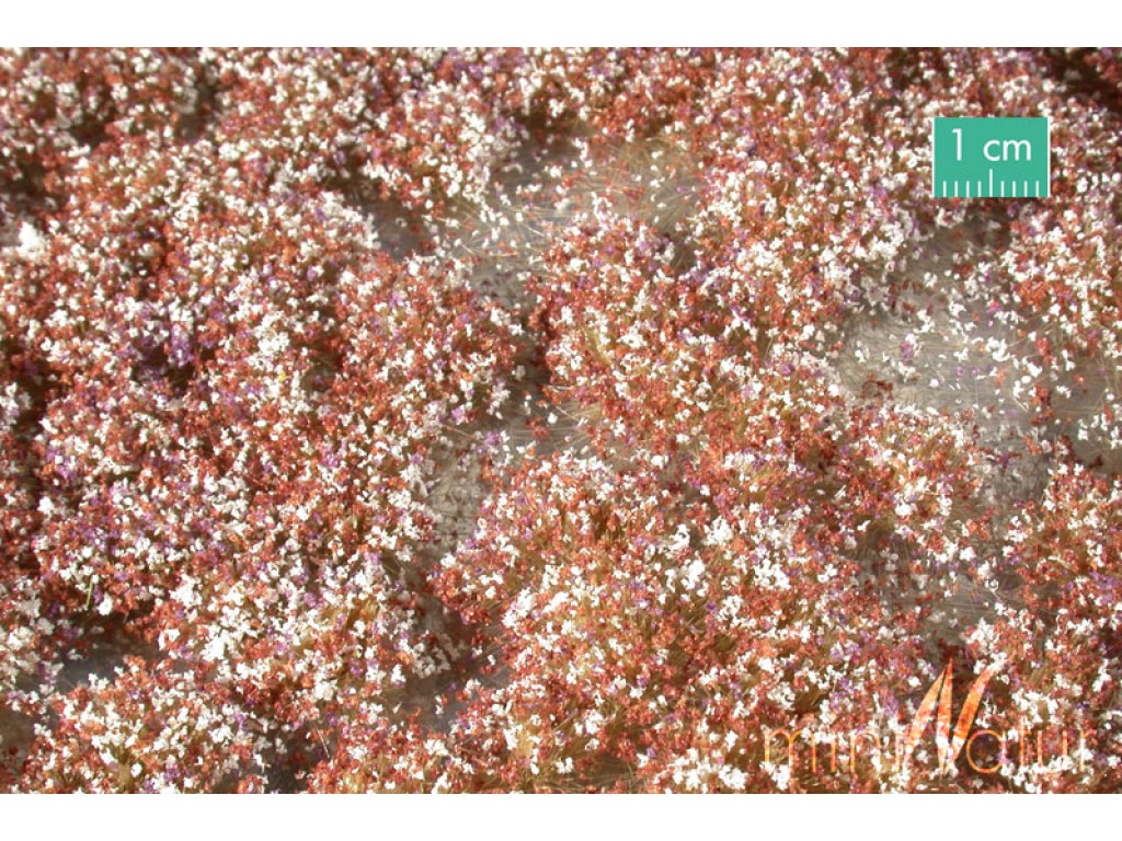 Blossom Tufts Late Fall (Small). Large Pack