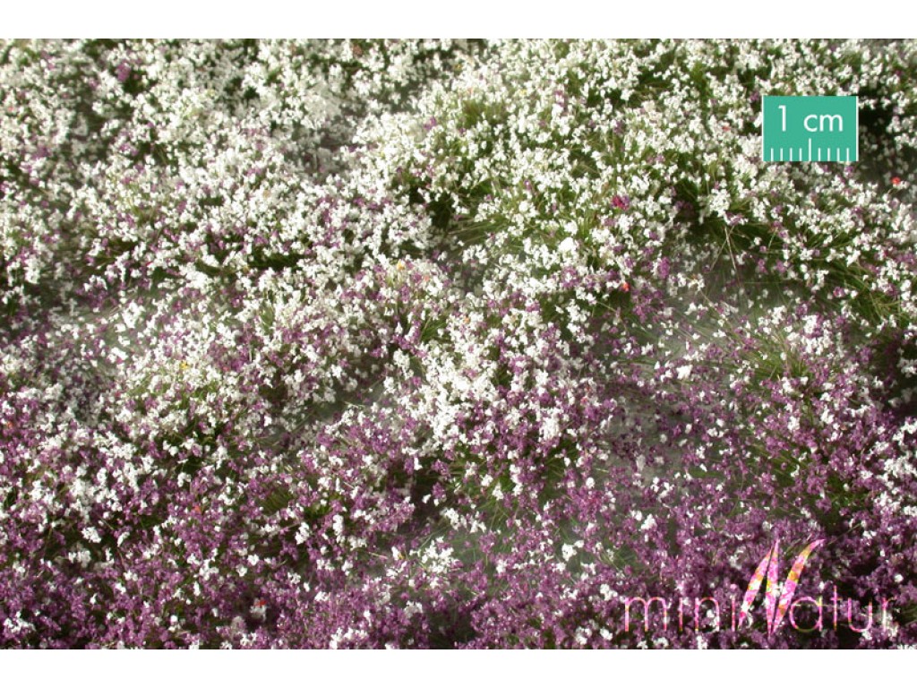 Blossom Tufts Early Fall (Large). Large Pack